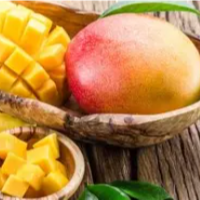 Mango - Team profile - Esplay